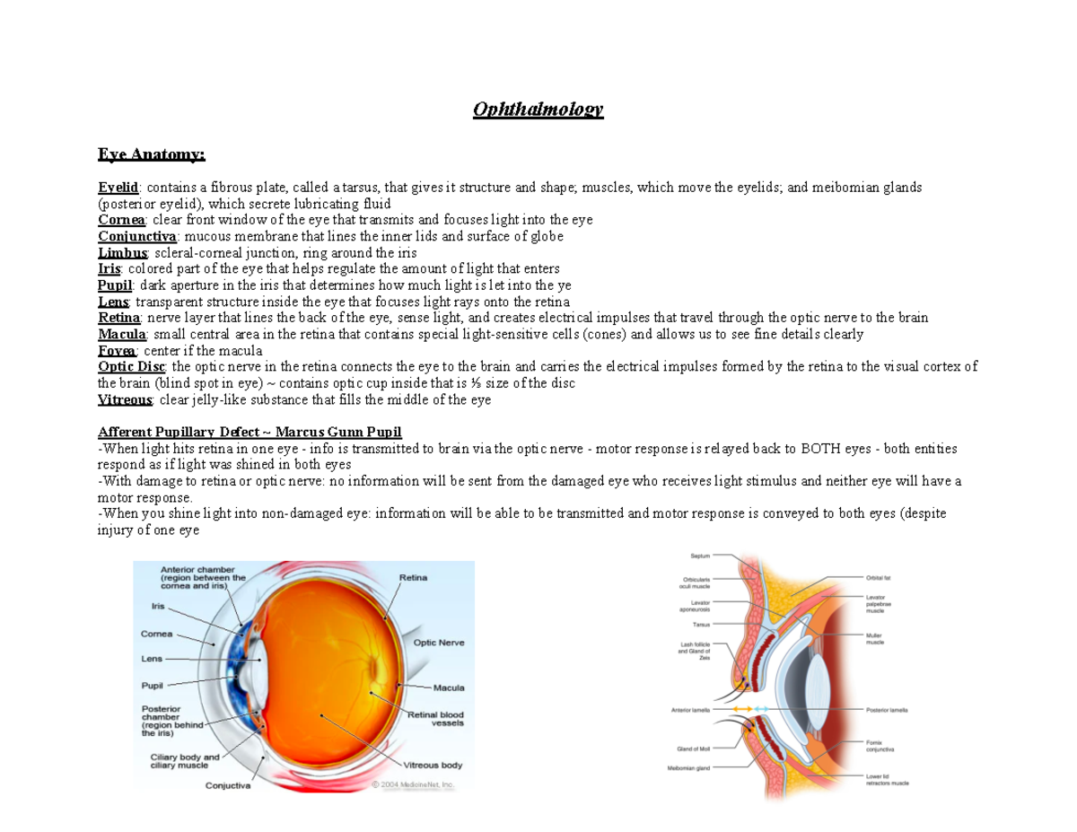 Ophthalmology Review - Ophthalmology Eye Anatomy: Eyelid : contains a ...