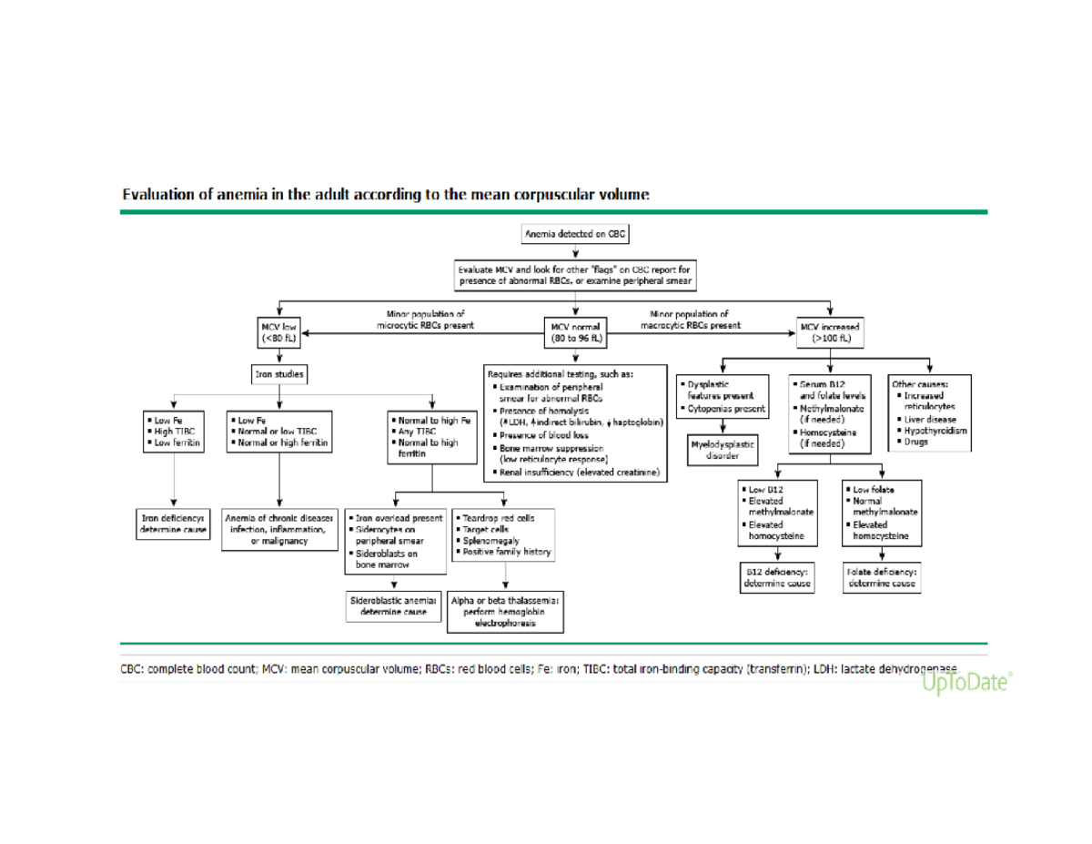 Anemia worksheet - NUR390 - Studocu