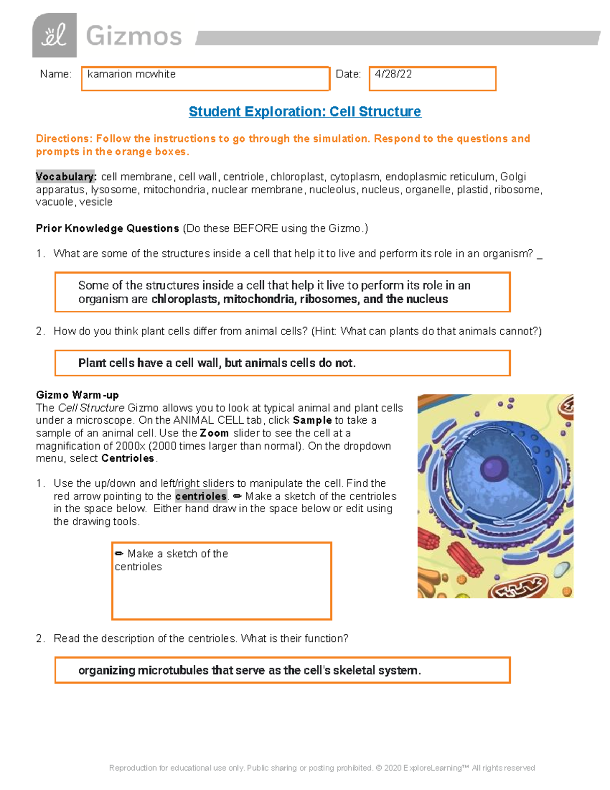 Ka'Marion Mc White - Gizmo-Cell Structure SE - Name: kamarion mcwhite ...