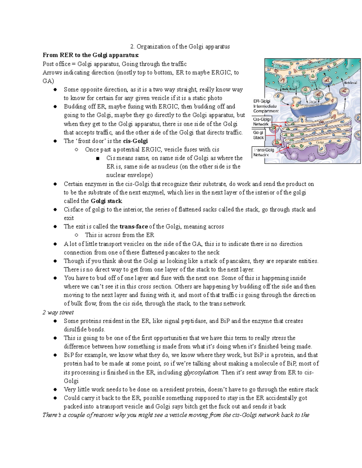 2. Organization of the Golgi apparatus - Organization of the Golgi ...