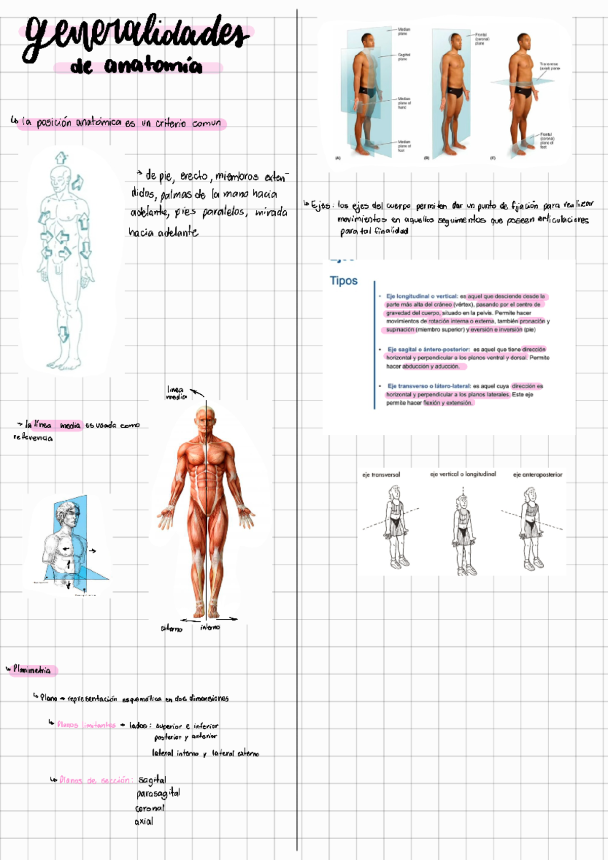 Generalidades Anatomia - Studocu