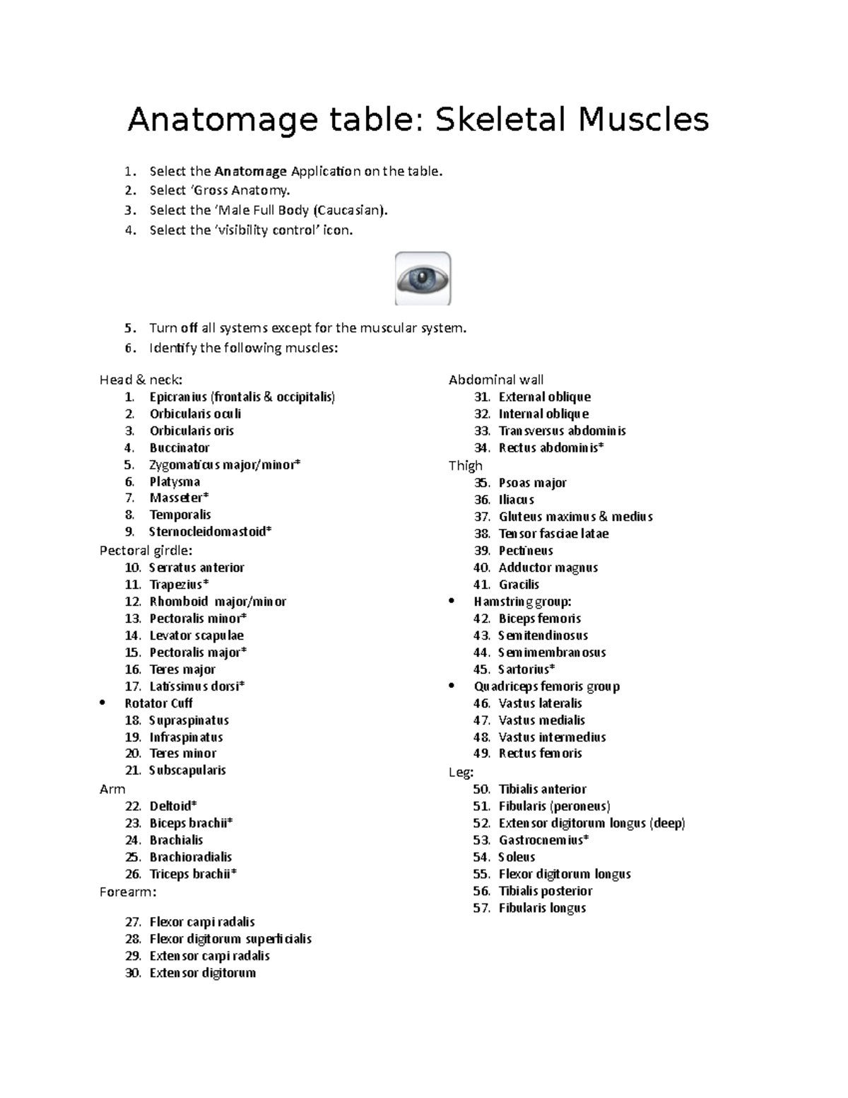 Week 3 Anatomage Table - Anatomage table: Skeletal Muscles 1. Select ...