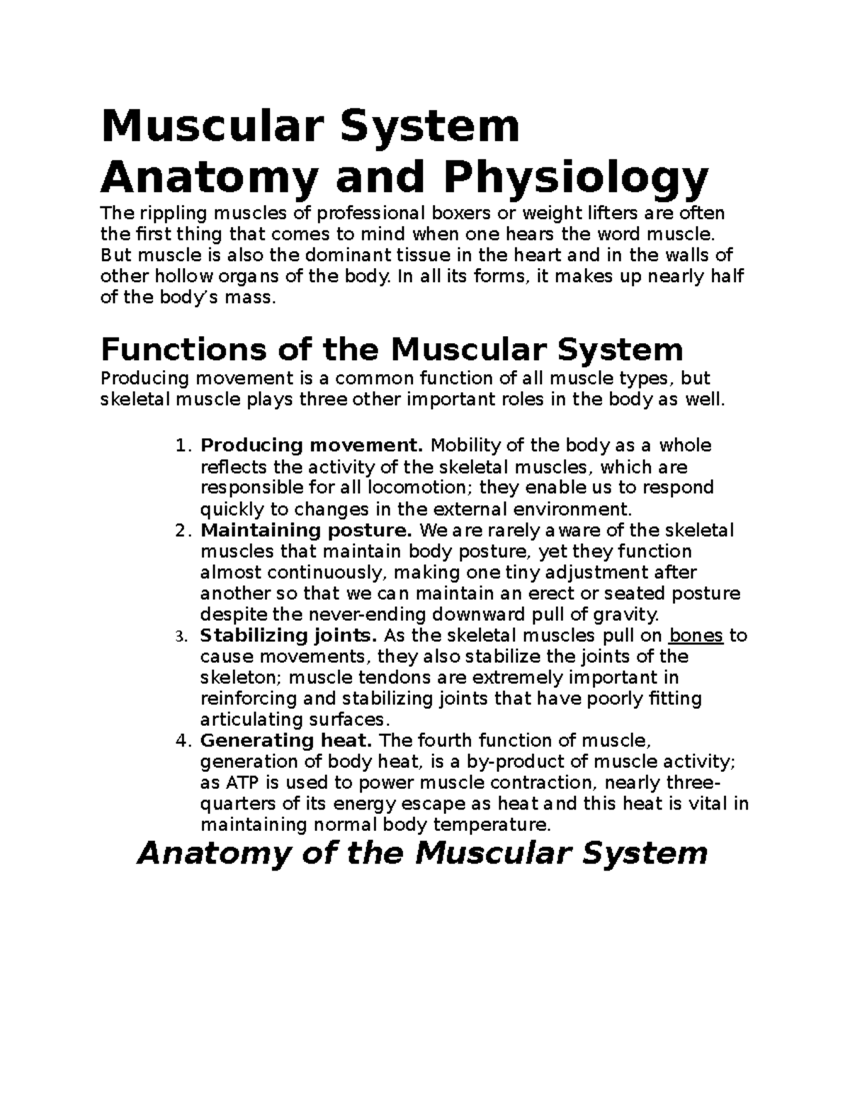 Muscular System Anatomy and Physiology - Muscular System Anatomy and ...