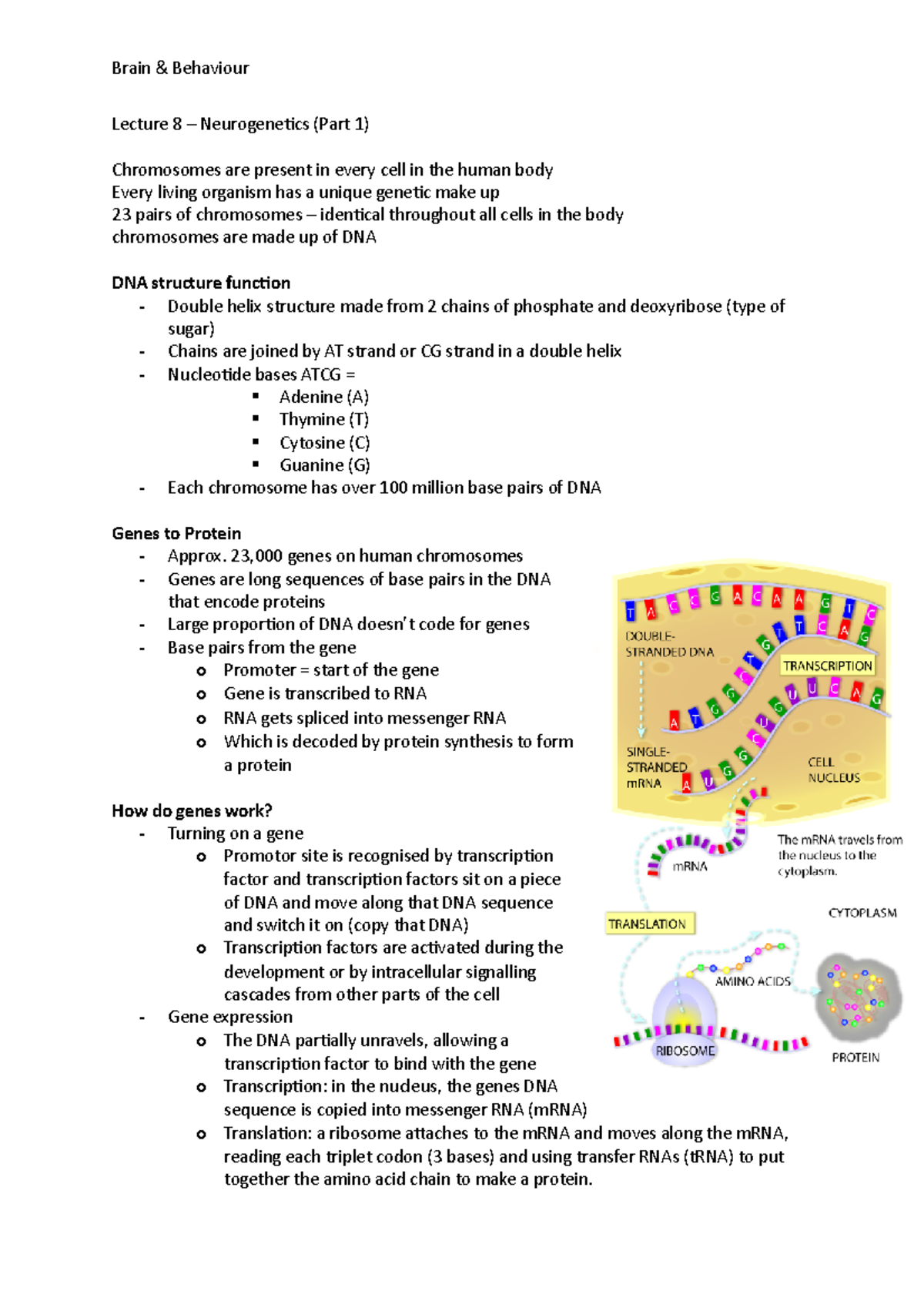 Lecture 8 – Neurogenetics - Brain &amp; Behaviour Lecture 8 ...