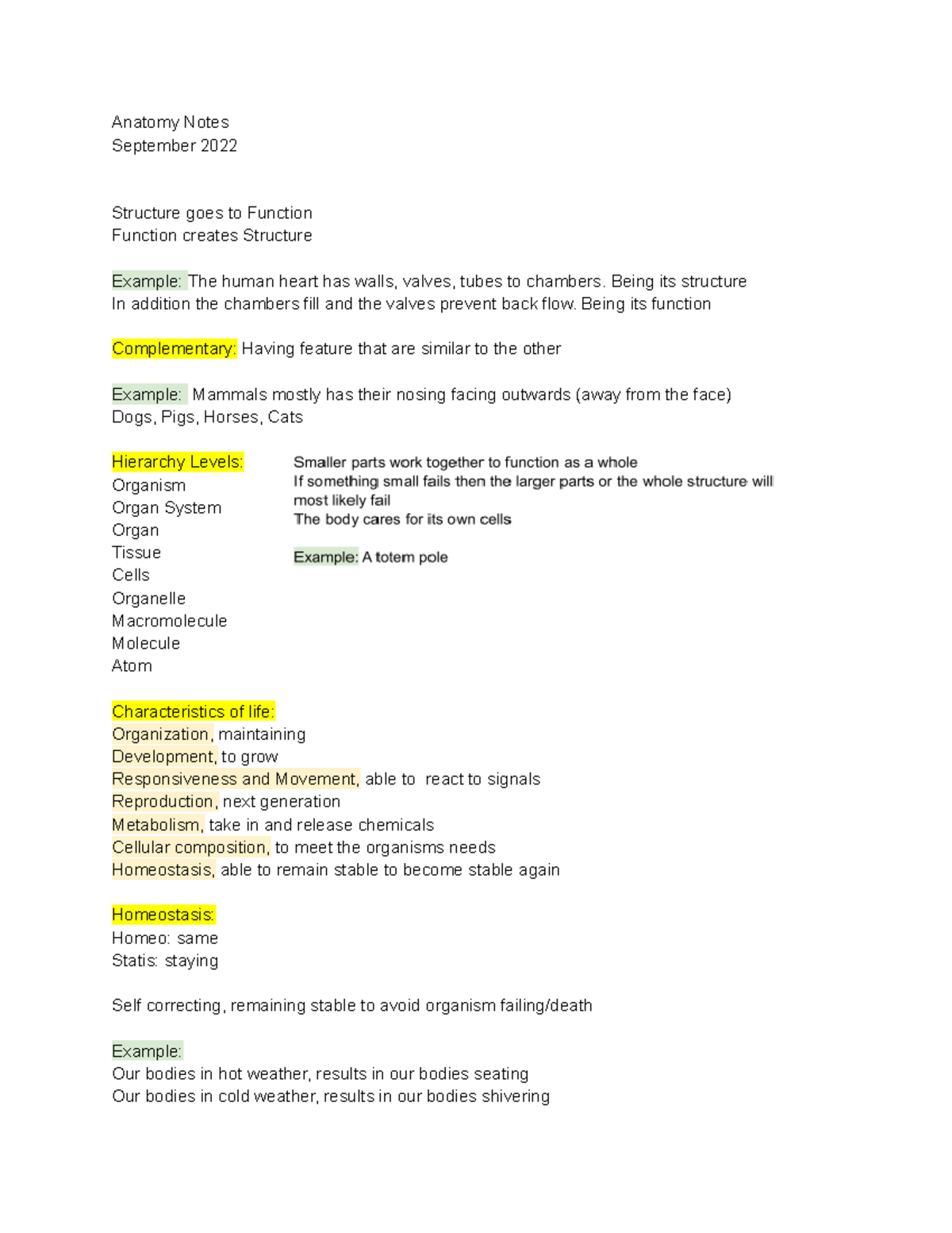Anatomy Notes 9 8 - Lecture one homeostasis and anatomical positions ...