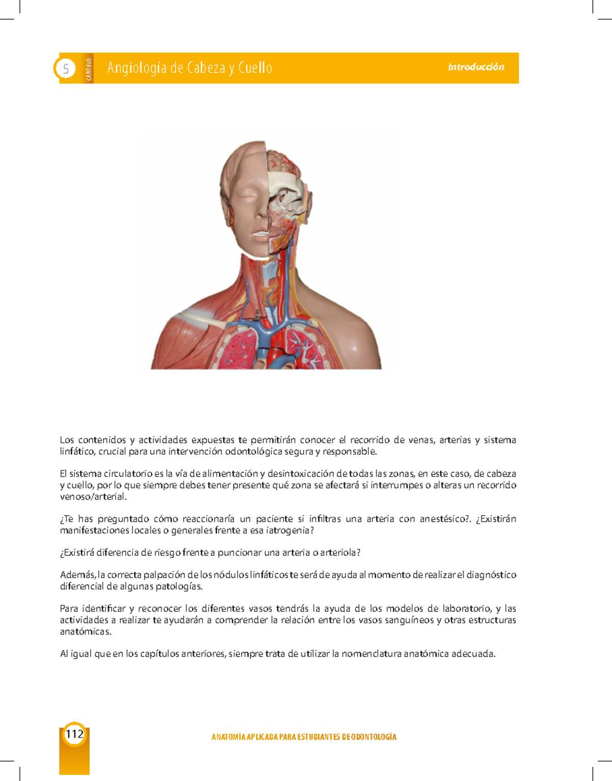 Manual de anatomía Aplicada 3 - CAPÍTULO 5 Angiología de Cabeza y ...