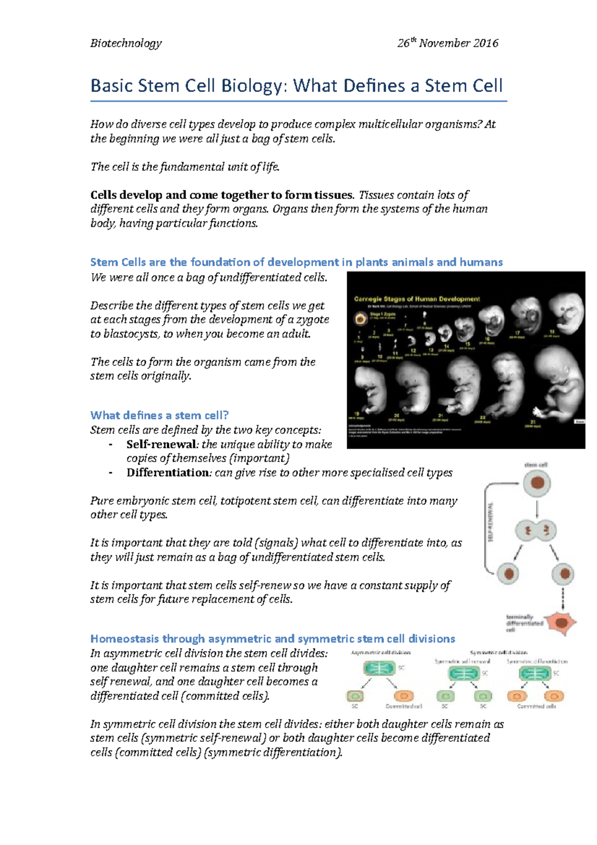 Biotechnology Basic Stem Cell Biology - Biotechnology 26 th November ...