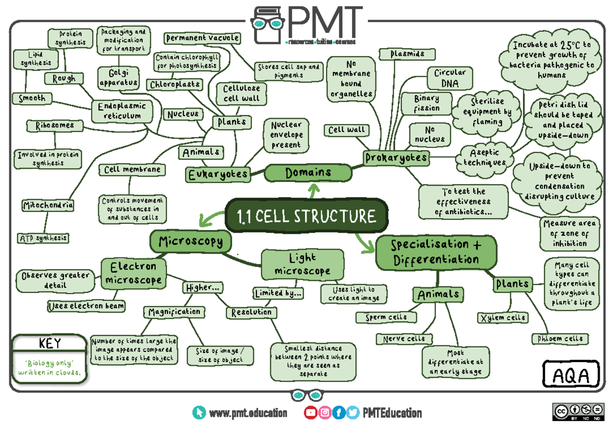 1.1 Cell Structure - Biology revision - 1 . 1 CELL STRUCTURE Domains ...