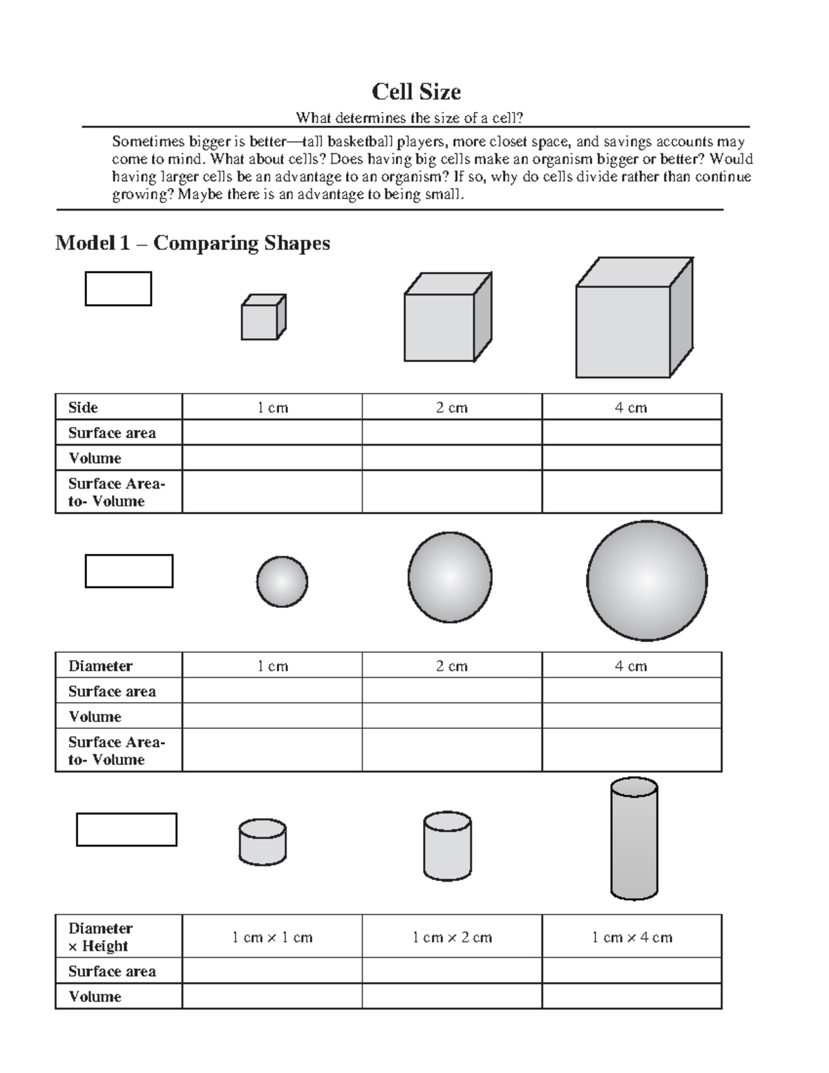 Written-WORK-NO - Lesson and activity - Cell Size What determines the ...