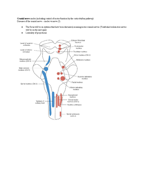 Sketchy Micro - Staph Aureus (Grape-granule golden) Grows on blood agar ...