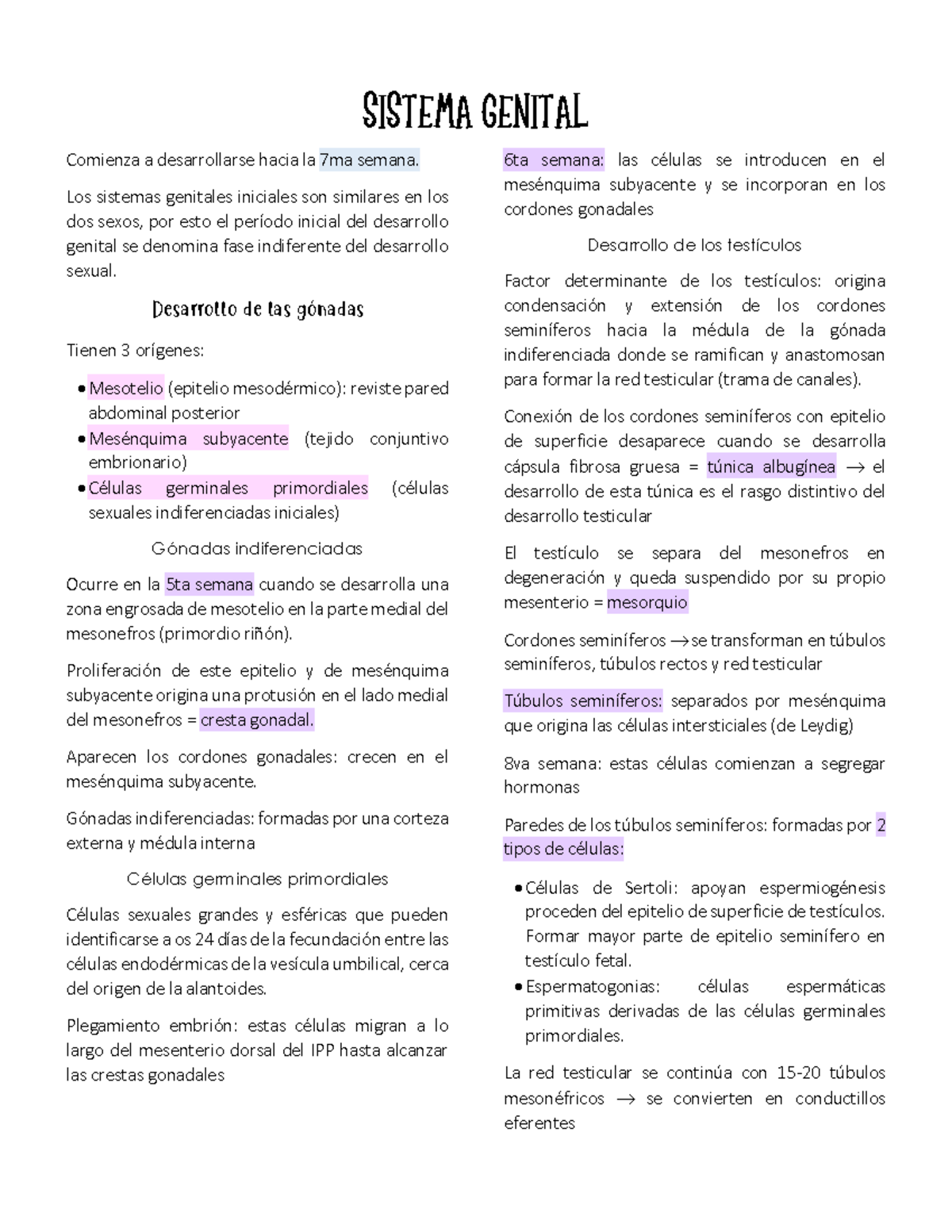 Sistema Genital Embrio Resumen - Warning: TT: undefined function: 32 SISTEMA GENITAL Comienza a ...