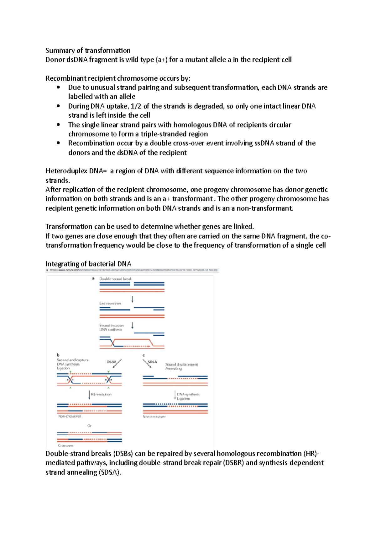 Summaries - practice - Summary of transformation Donor dsDNA fragment ...