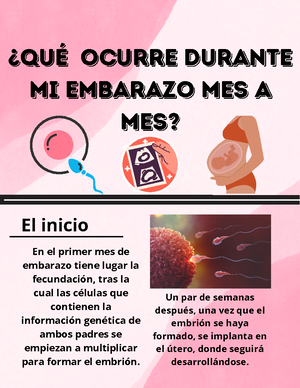 Documento A4 Portada Plan Nutrición Ilustrado Amarillo y Rosa - Plan de ...