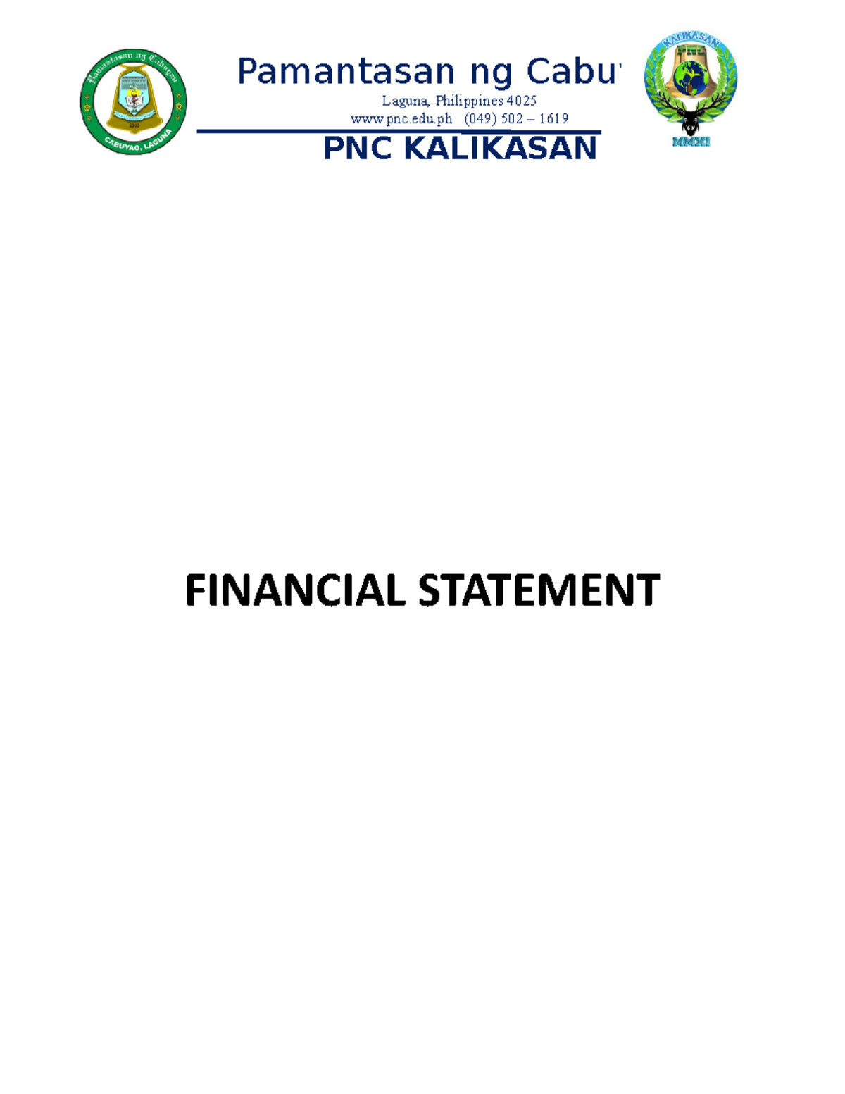 Financial- Statement - For practical in problem solving - Laguna ...