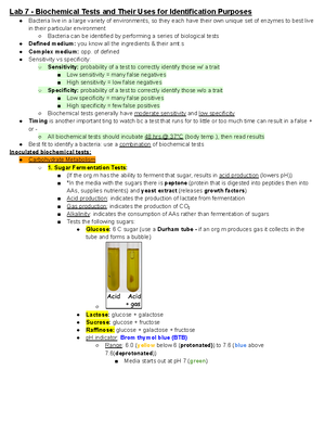 Lab 7 Report, MCB 101 - Lab 7 Report March 12th, 2024 Significance ...