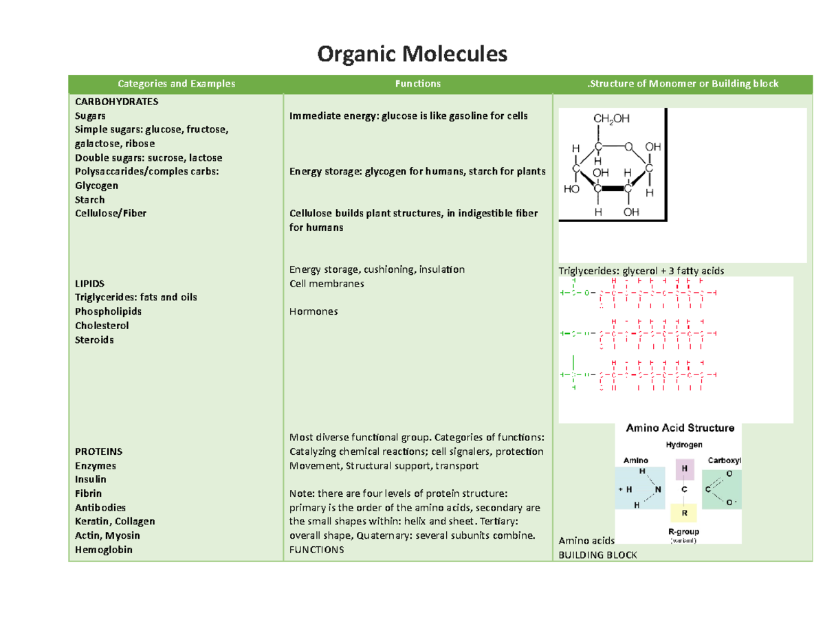Study Guide Organic Molecules - Organic Molecules Categories and ...