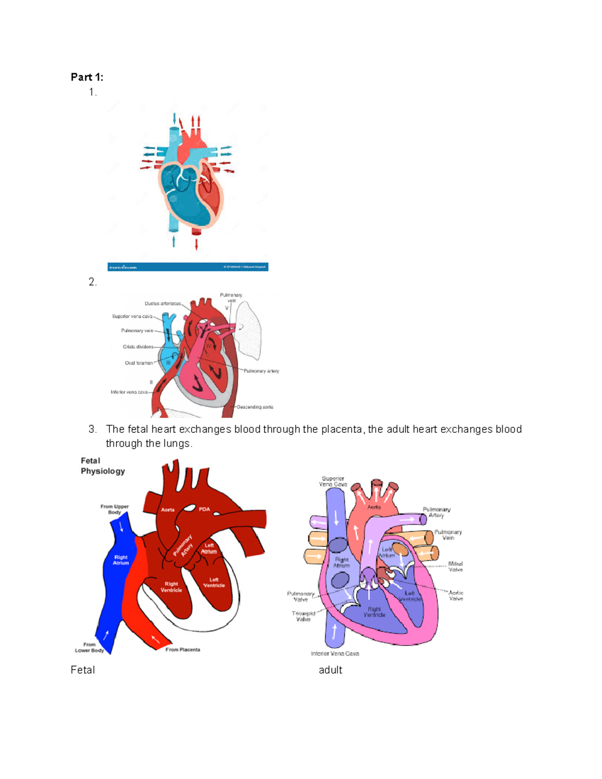 Heart case study - practice assignment before test - Part 1: 1. 2. 3 ...