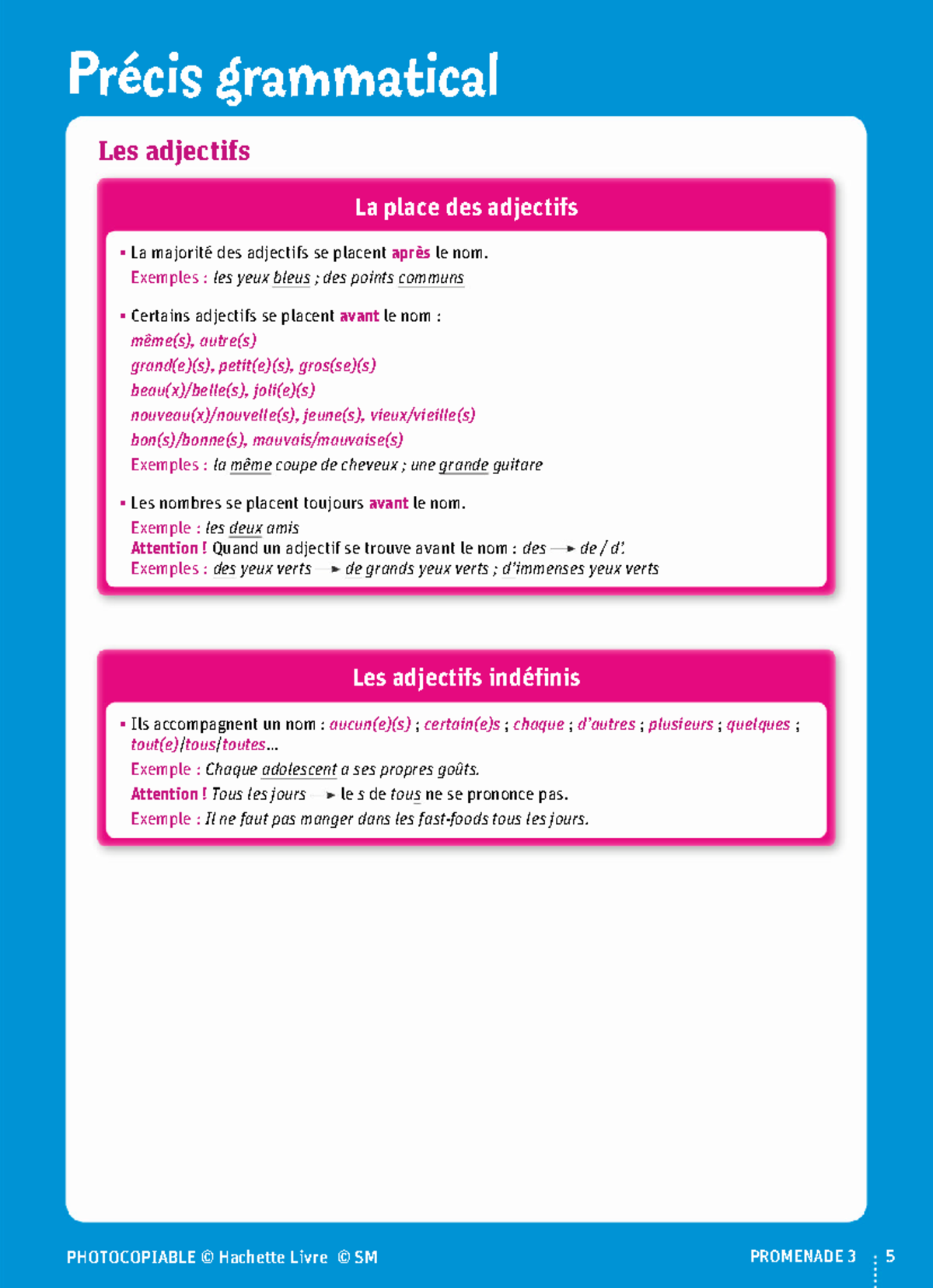 Gramática TEMA 5 - sca - La place des adjectifs Les adjectifs indéfinis ...