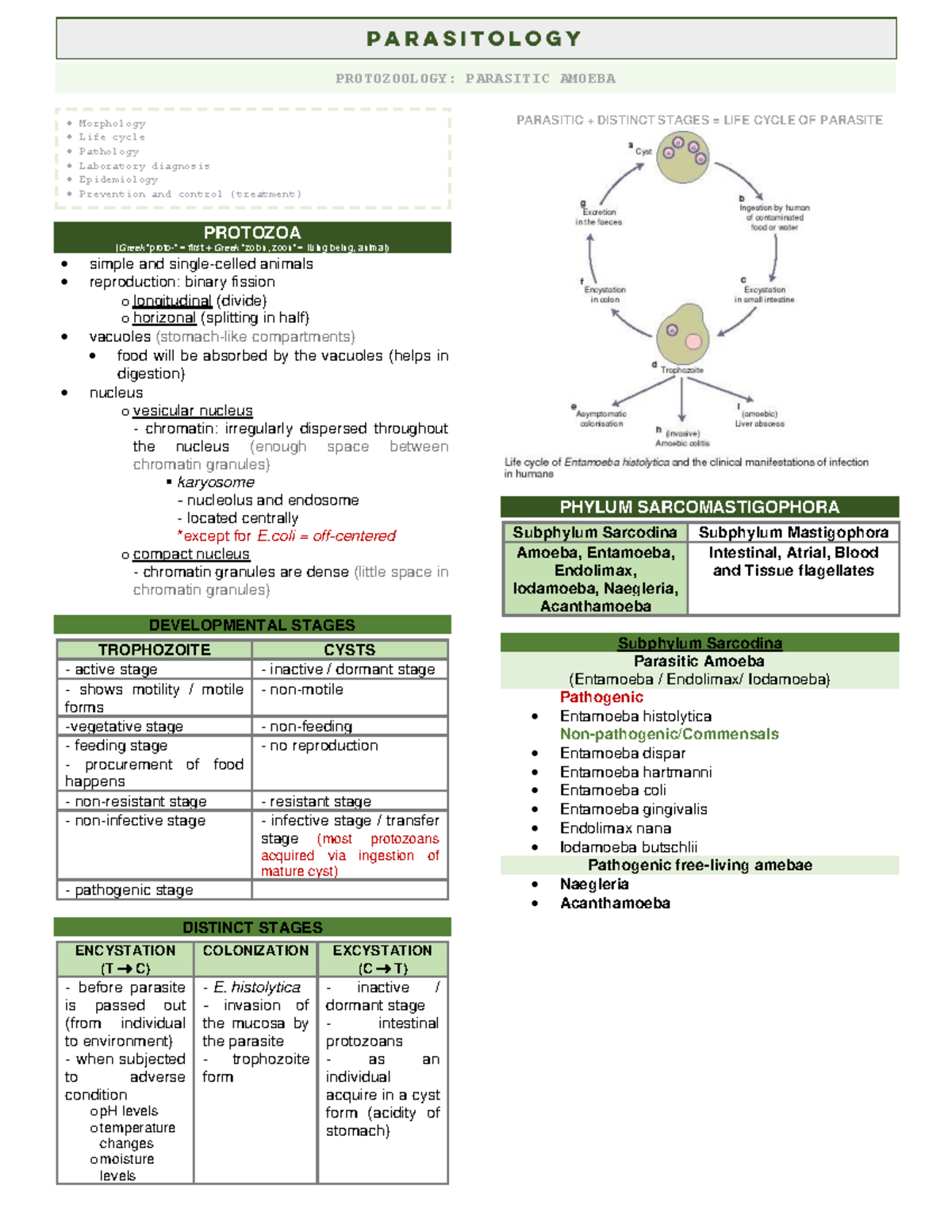 Parasitology Protozoa - PROTOZOA (Greek “proto-“ = first + Greek “zoion ...