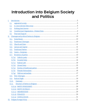 Lecture 6 The Government - THE GOVERNMENT GOVERNMENTS IN BELGIUM ...