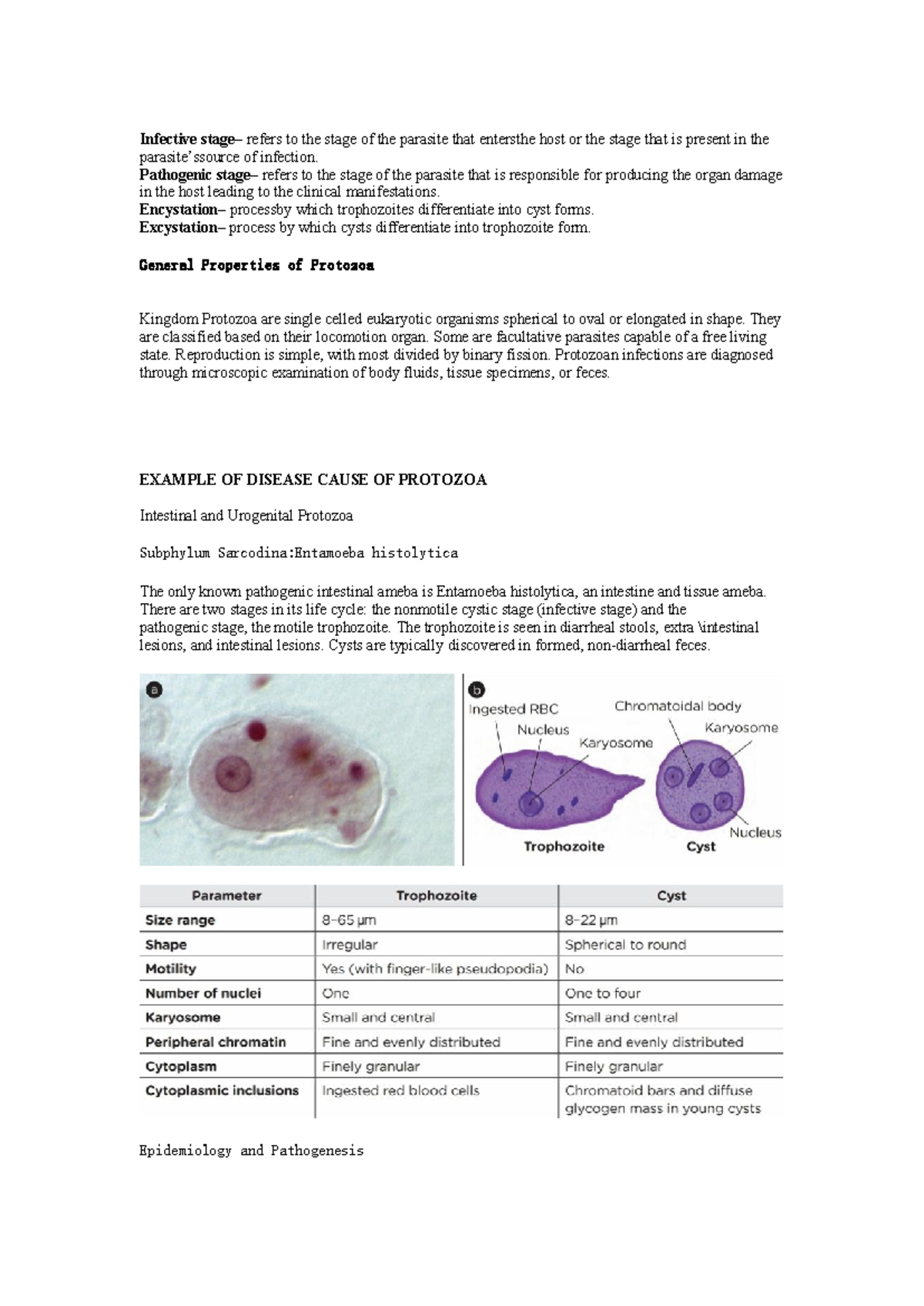Example OF Disease Cause OF Protozoa - Infective stage– refers to the ...