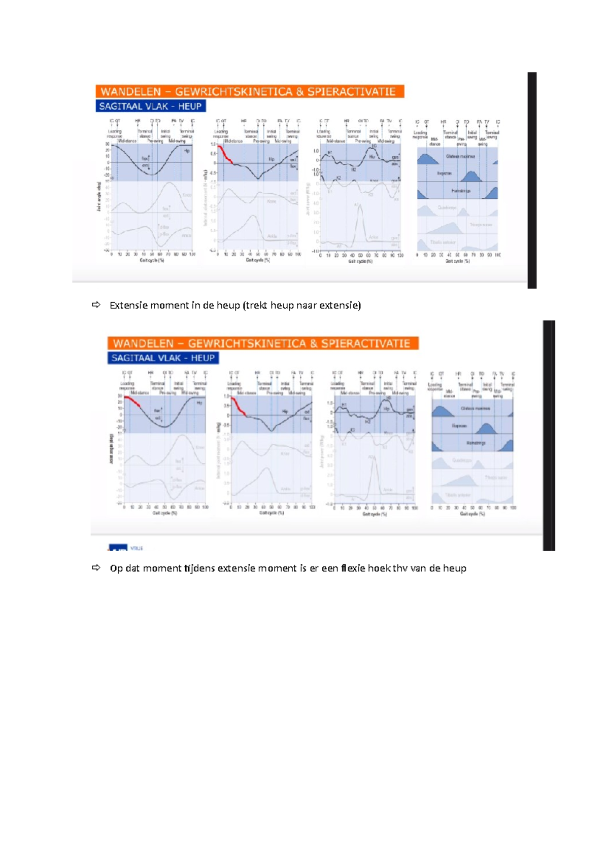 Extensie moment in de heup - Studocu