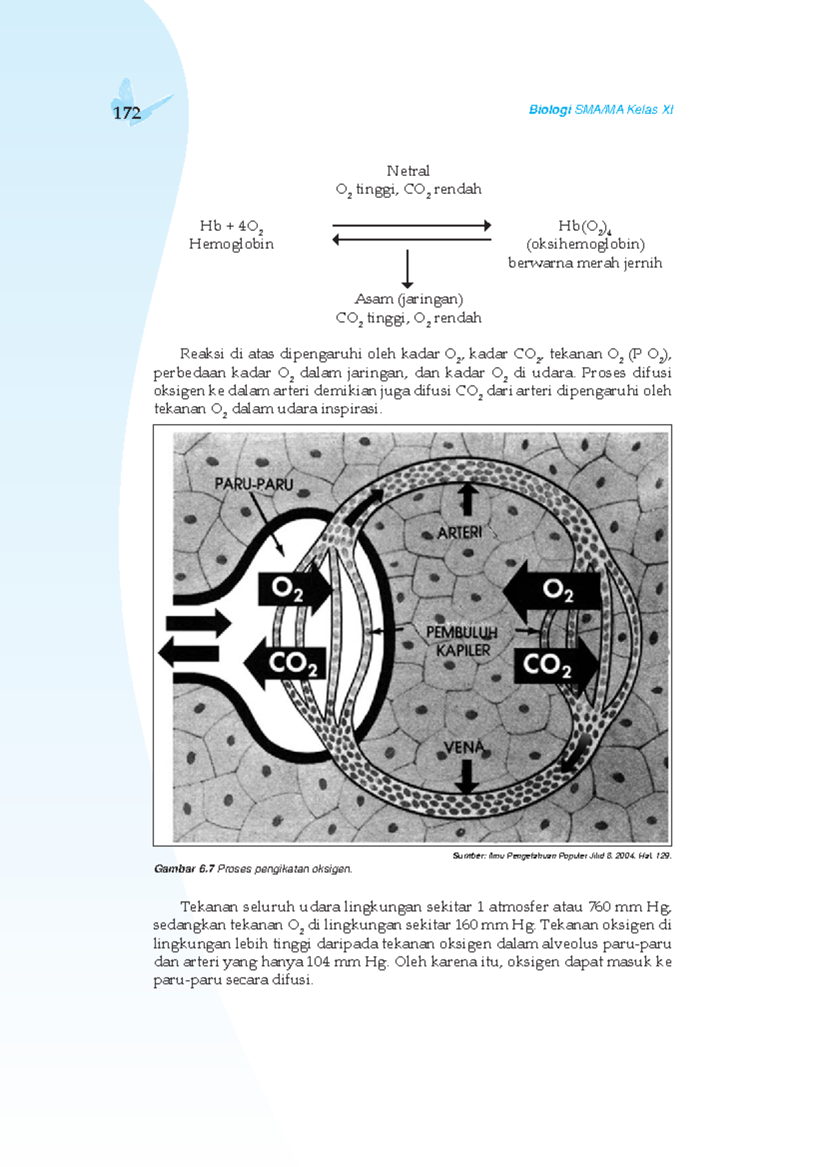 Mekanisme penghancuran bakteri - 172 Biologi SMA/MA Kelas XI Netral O 2 ...