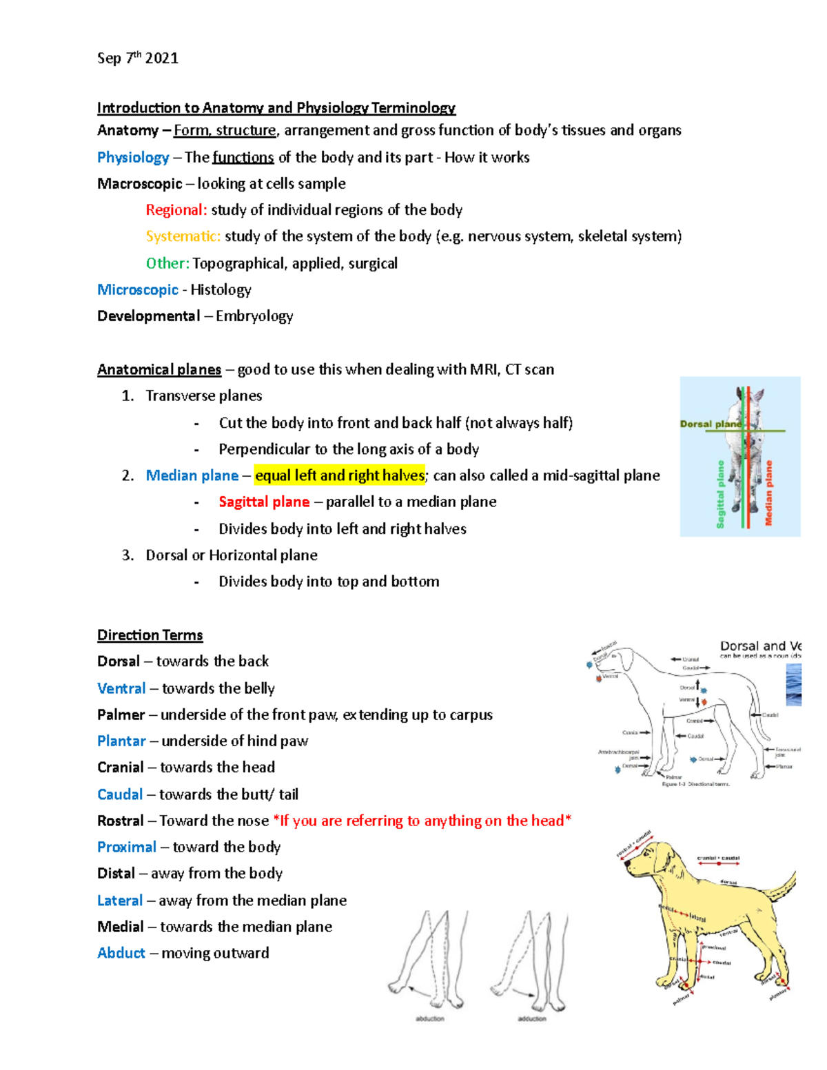L1 - intro to anatomy - Introduction to Anatomy and Physiology ...