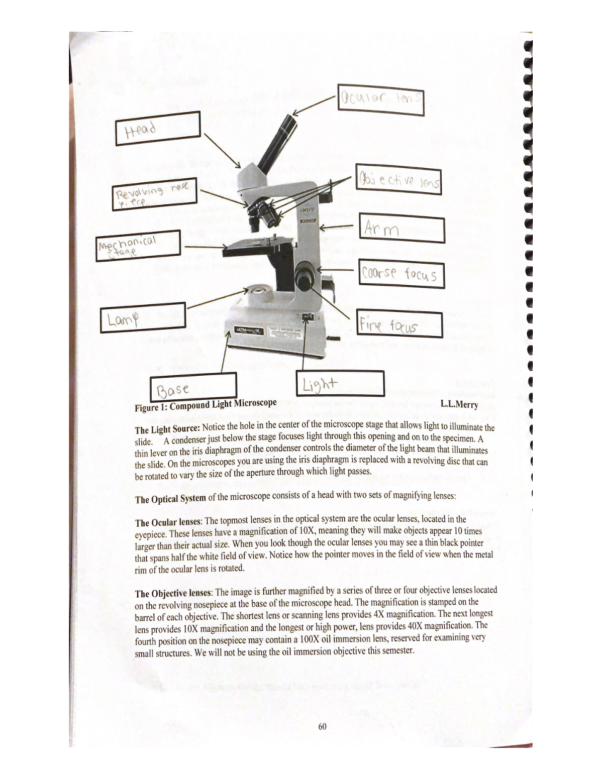 Scanned Documents 2 - Principles of biology 1 lab assignments. Good ...