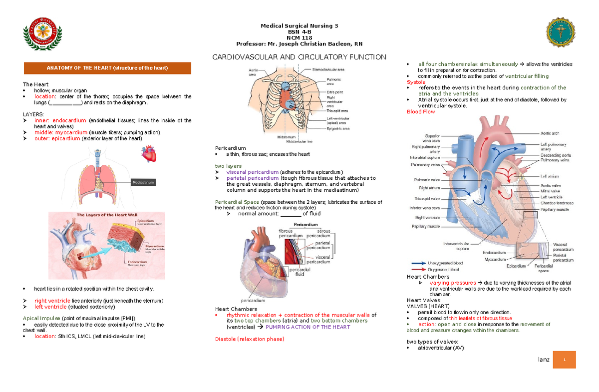 Cardio Function - nursing - BSN 4-B NCM 118 Professor: Mr. Joseph ...