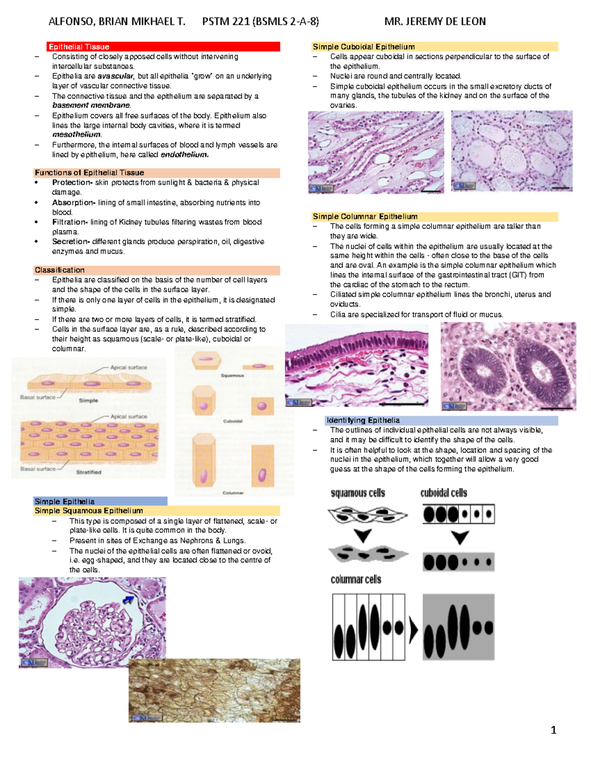 Prelims Histo WEEK 3 - n/a - Epithelial Tissue Consisting of closely ...