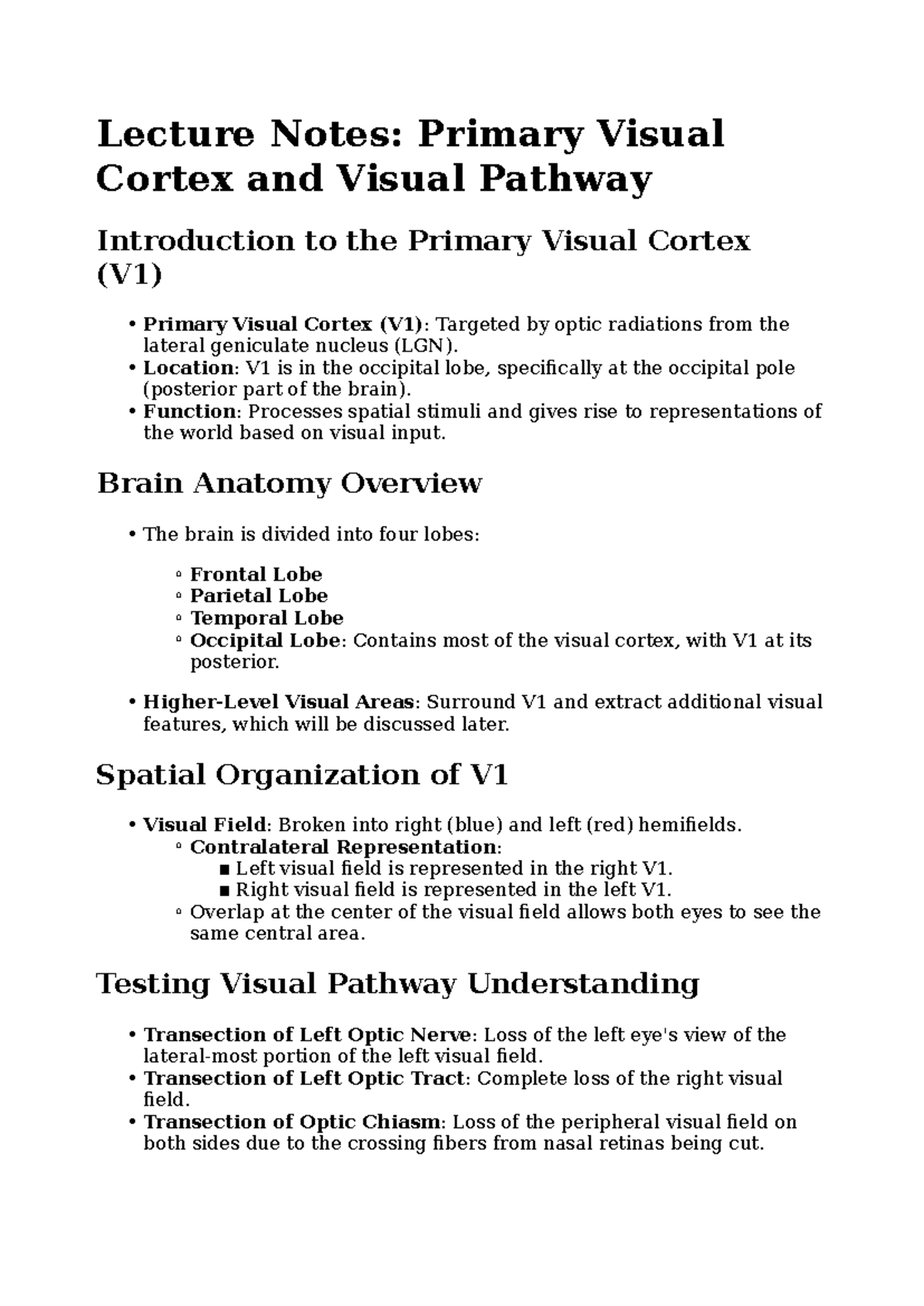 Primary Visual Cortex Lecture Notes Lecture Notes Primary Visual