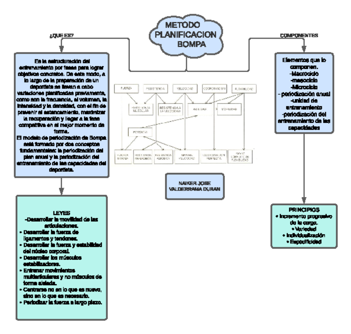 Bompanaiker - trabajo método entrenamiento deportivo bompa - ¿QUE ES ...