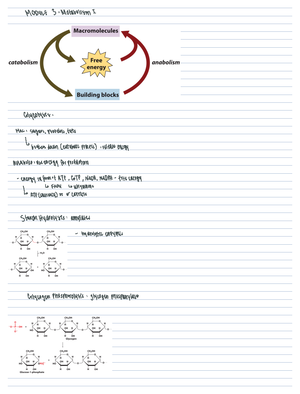 Biochem unit 2 - class notes unit 2 - Lecturer MYOGLOBIN HEMOGLOBIN ...