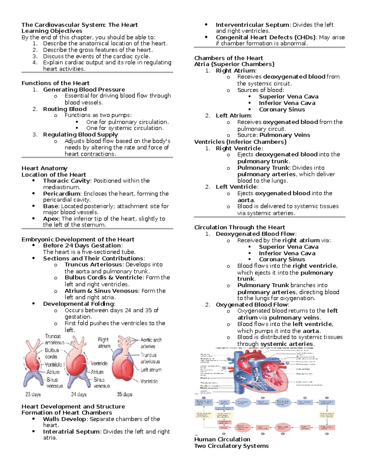 The Cardiovascular System Heart - The Cardiovascular System: The Heart ...