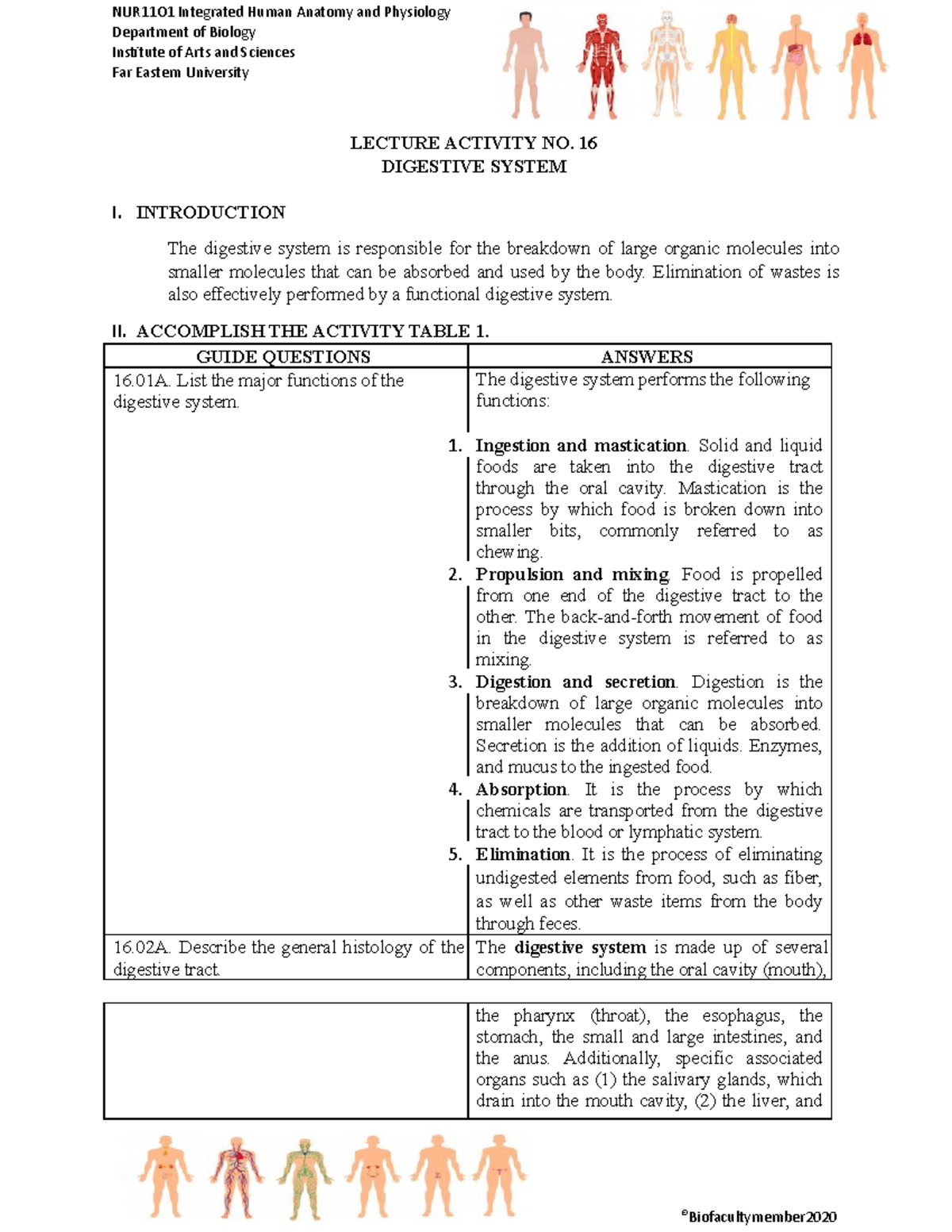 Digestive System - Lecture - Department of Biology Institute of Arts ...