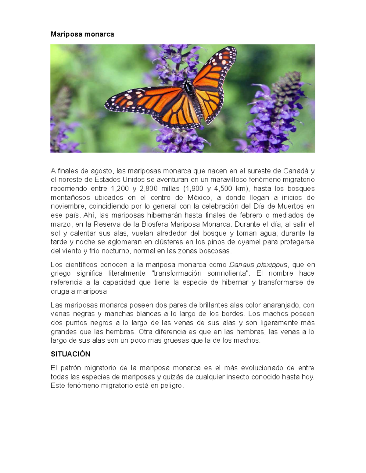 La Mariposa Monarca - Mariposa monarca A finales de agosto, las ...