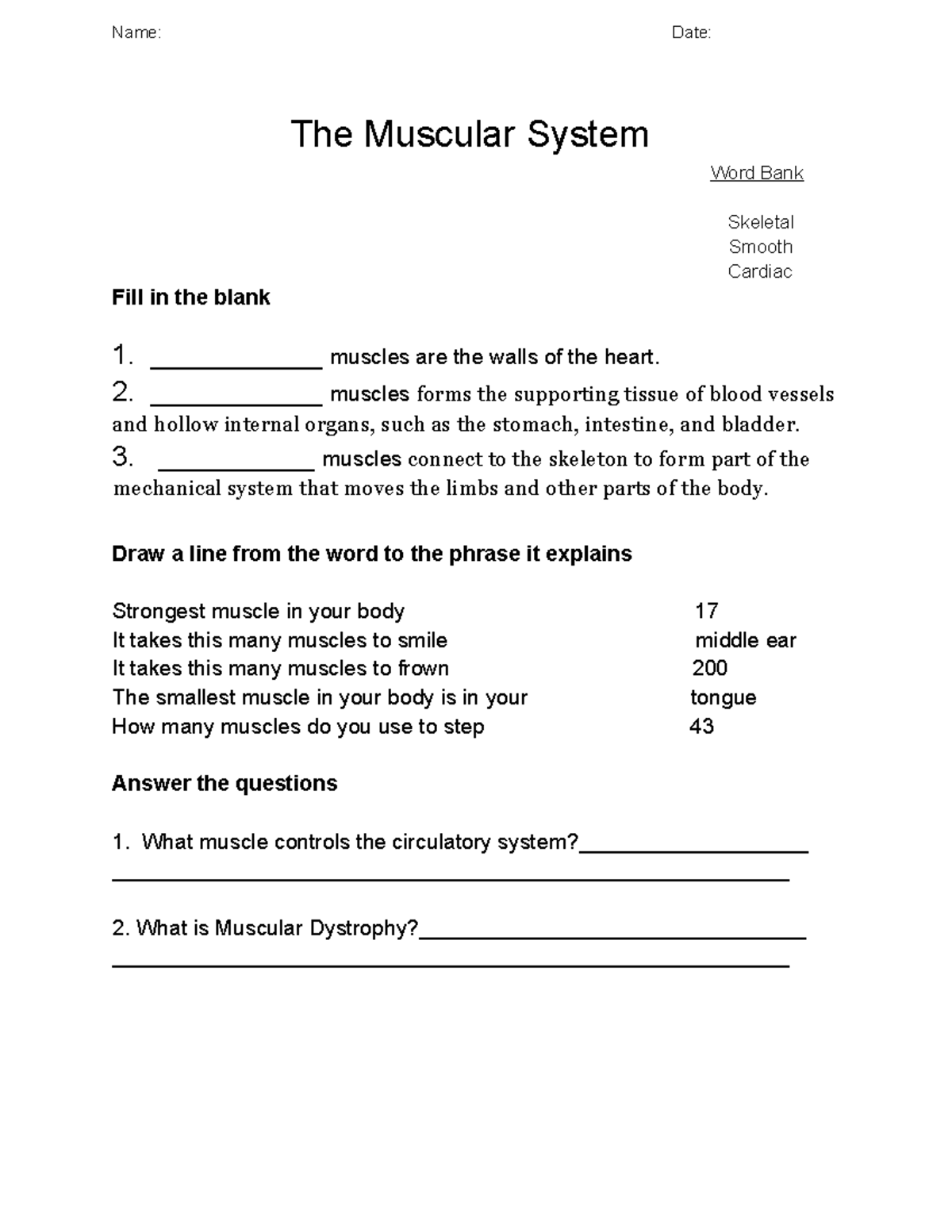 The Muscular System - Name: Date: The Muscular System Word Bank ...