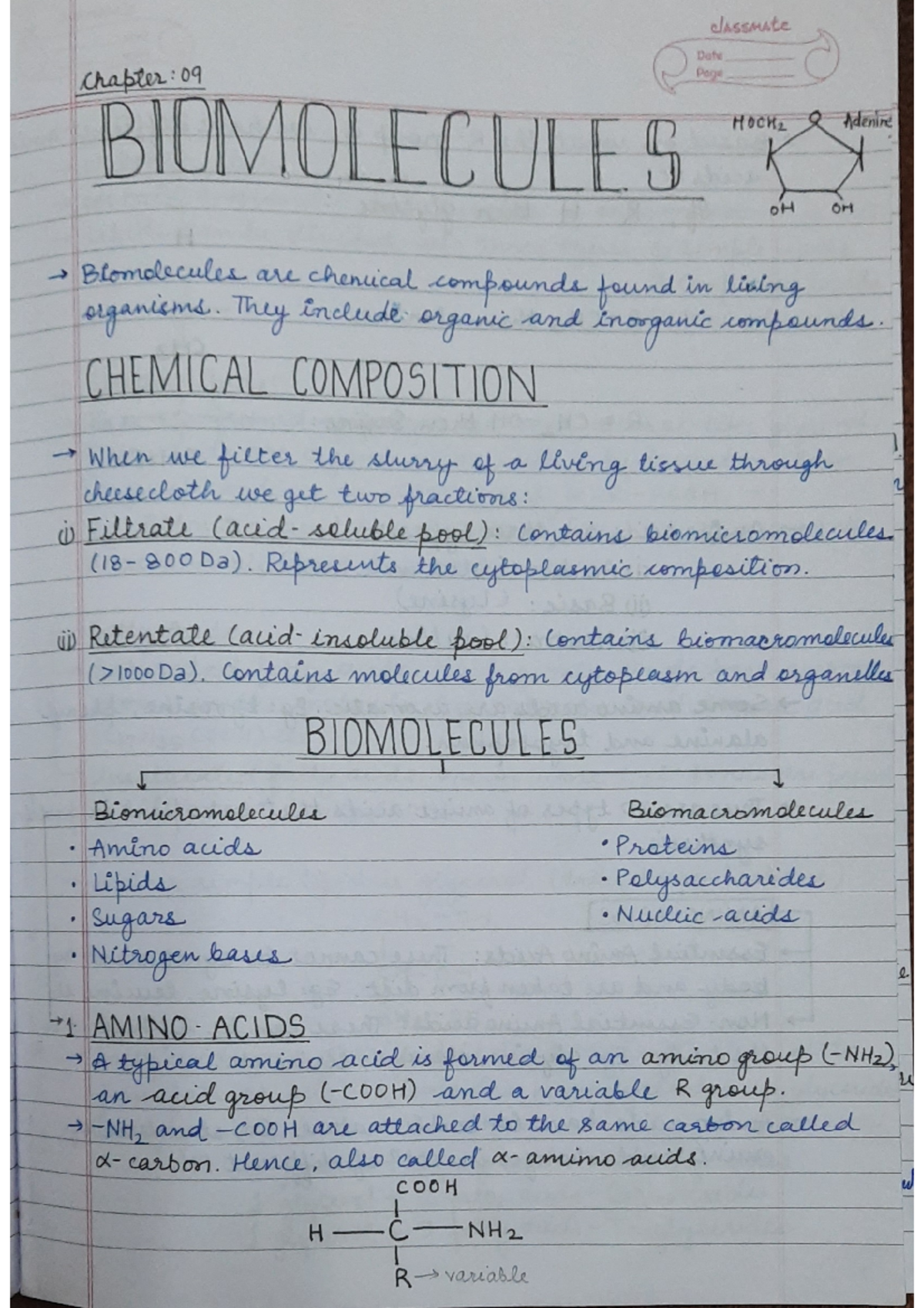 Biomolecules - Biology - Studocu