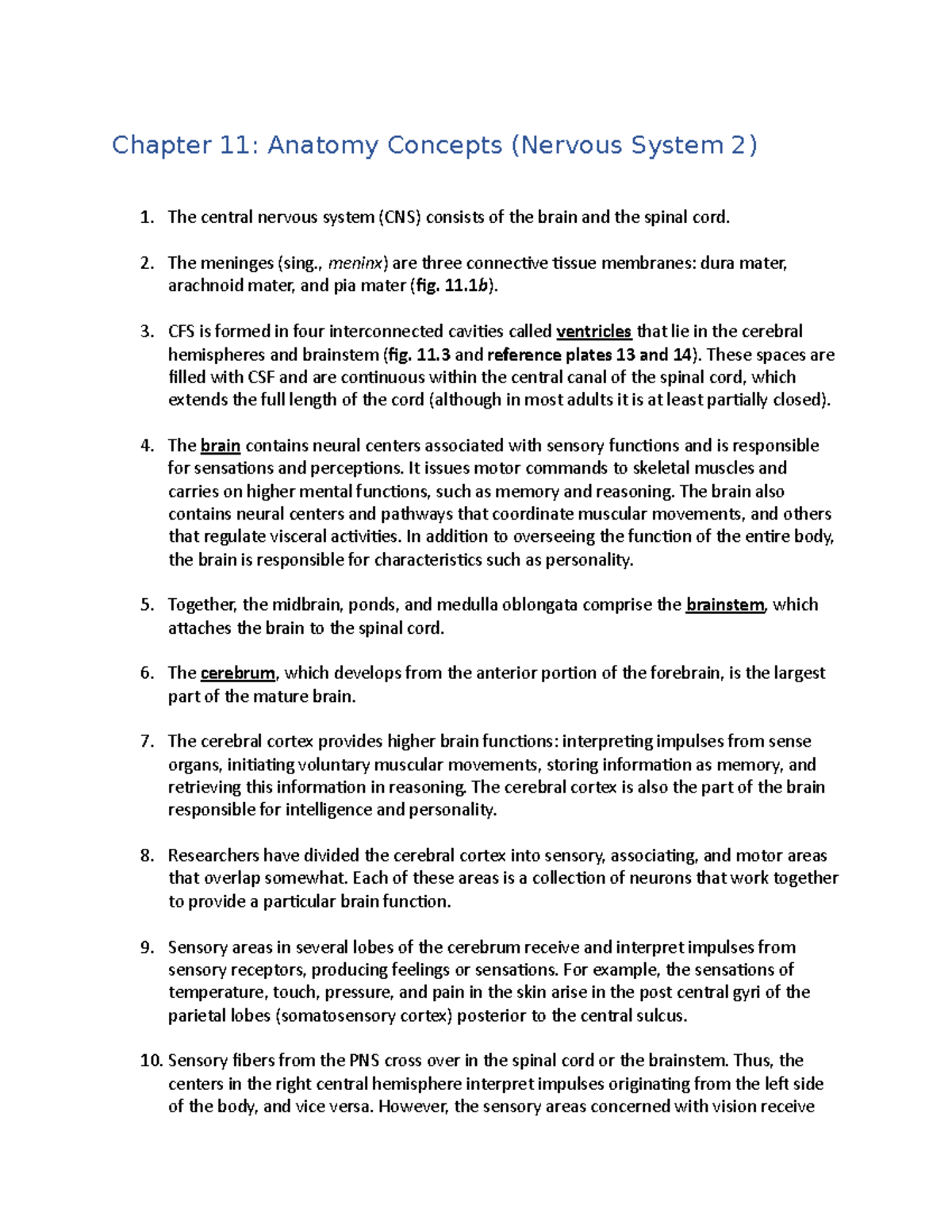 Chapter 11 Anatomy Concepts - Chapter 11: Anatomy Concepts (Nervous ...