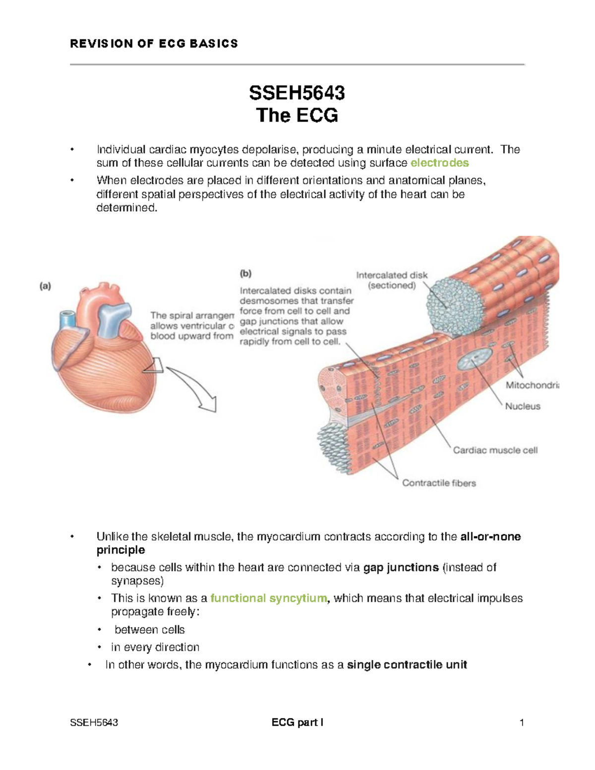5643 Seminar 3 12 lead ECG revision - SSEH The ECG Individual cardiac ...