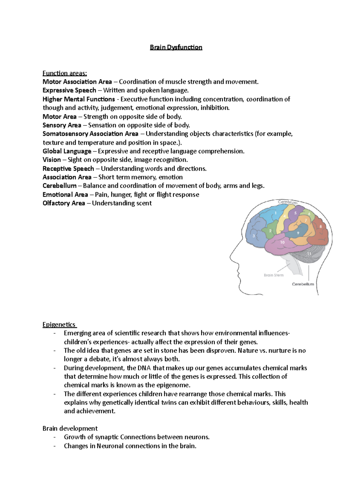 Brain Dysfunction - Brain Dysfunction Function areas: Motor Association ...