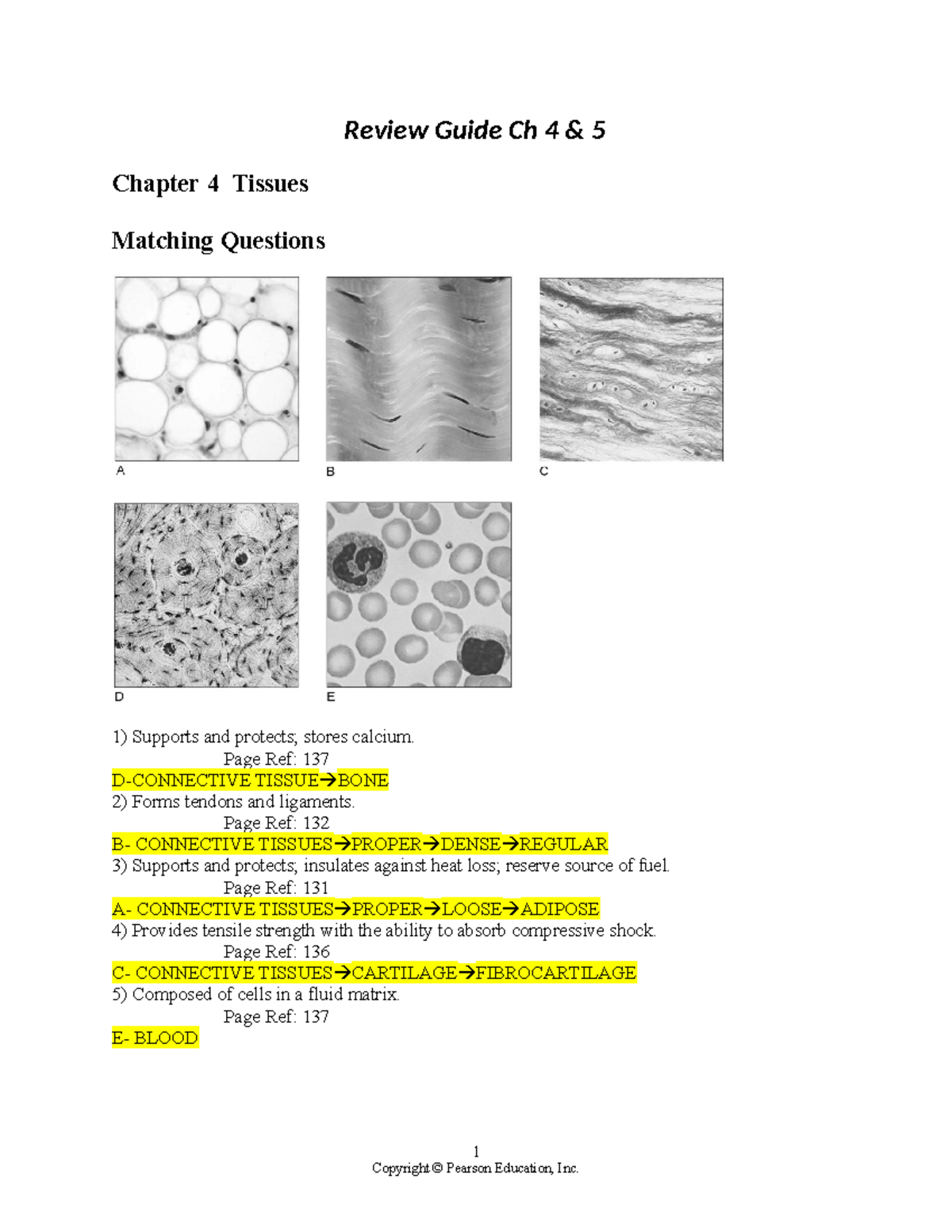 Exam 2 Review Guide - Review Guide Ch 4 & 5 Chapter 4 Tissues Matching ...
