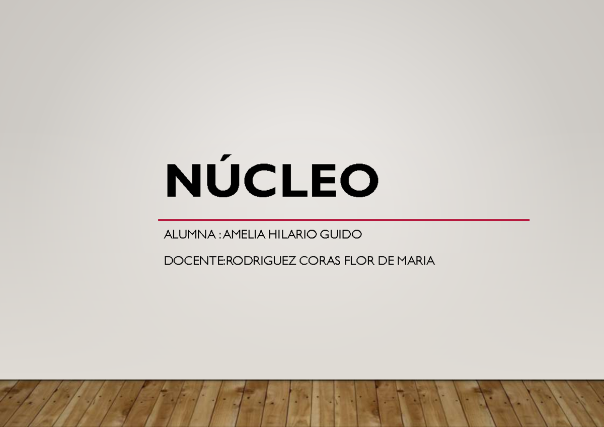 Nucleo - NÚCLEO ALUMNA : AMELIA HILARIO GUIDO DOCENTE:RODRIGUEZ CORAS ...