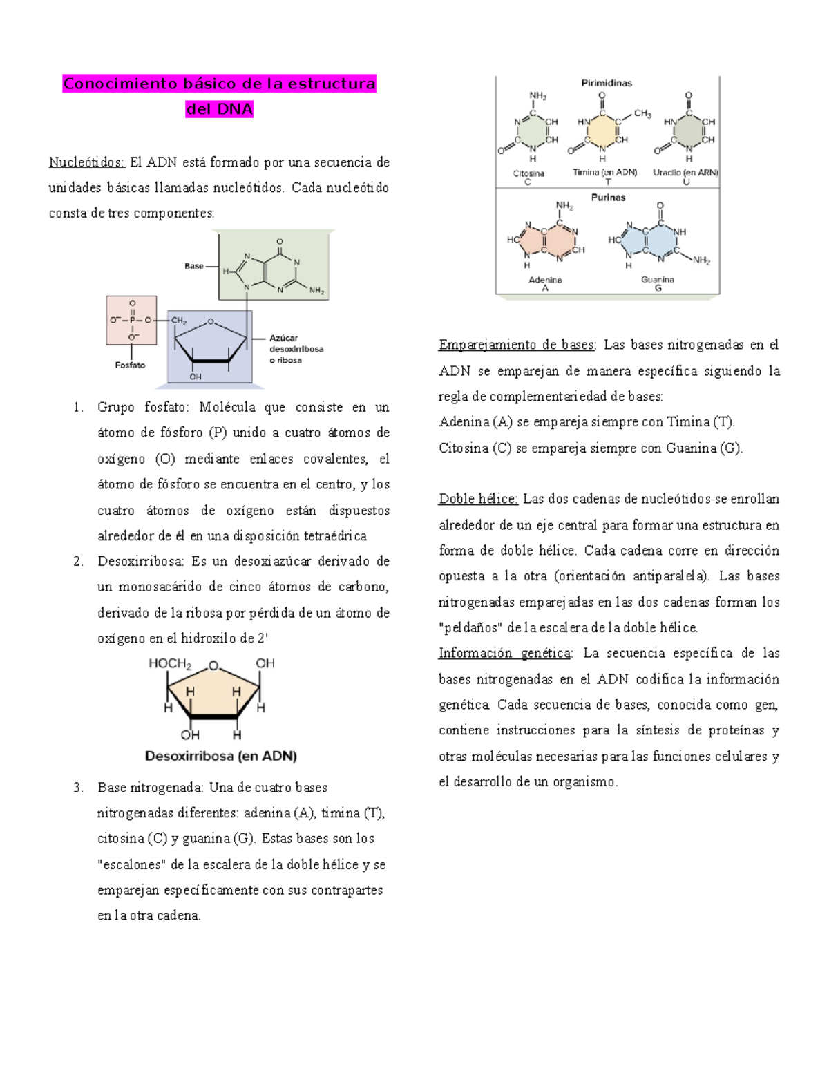 Resumen prueba 1 genetica - Conocimiento básico de la estructura del ...