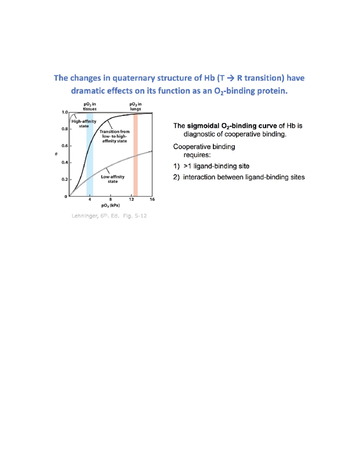 T + R transition - Sigmoidal O2 binding curve of Hb - The changes in ...