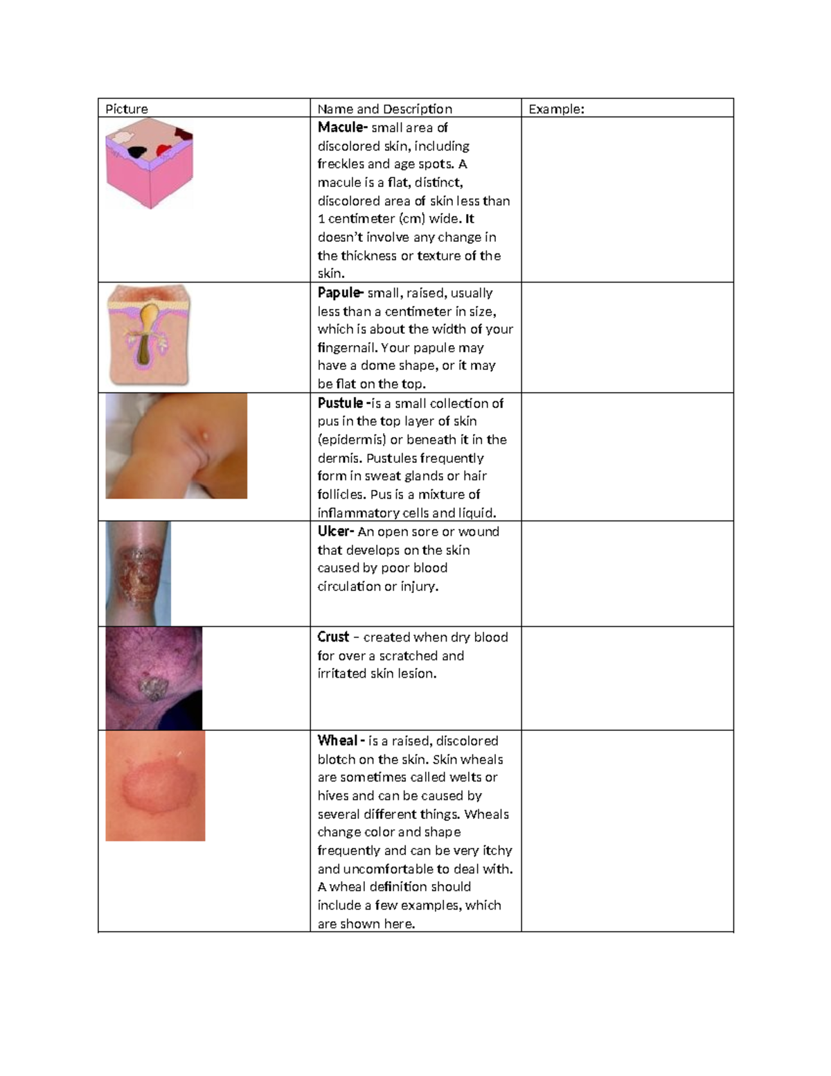 Patho GO- Skin.2 - skin condition - Picture Name and Description ...