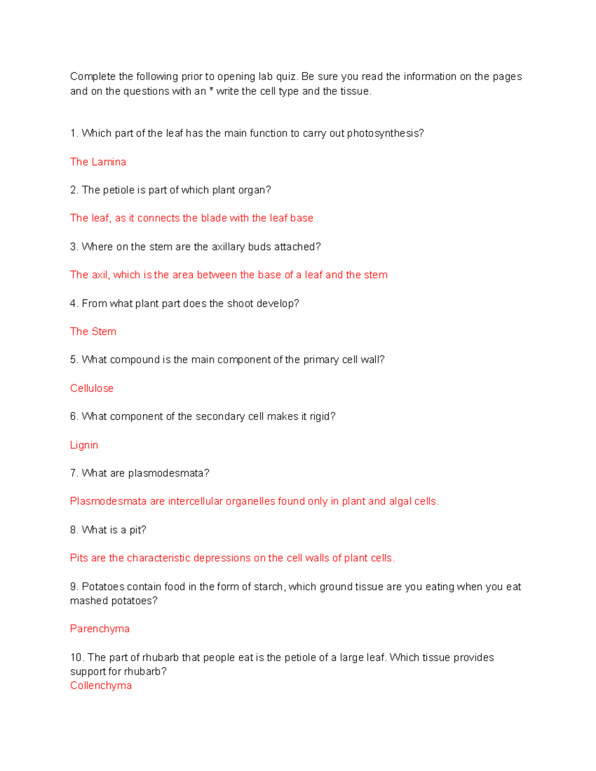 Plant Tissues - This is my assignment for the course BIO 1123. I had to ...