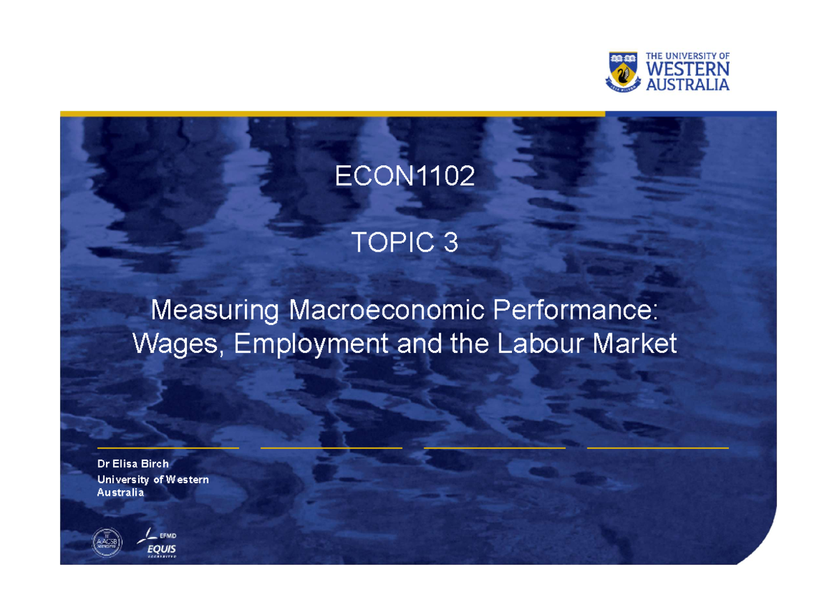 Topic 3 - Wages, Employment and the Labour Market - ECON TOPIC 3 ...