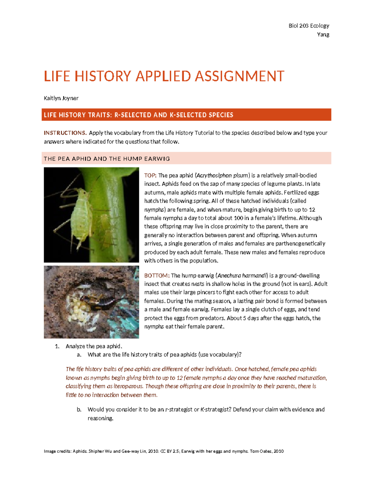Life History Applied Assignment worksheet - Biol 203 Ecology Yang LIFE ...